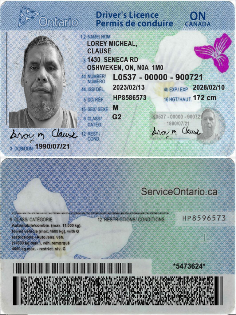 Ontario DL Lorey | PDF