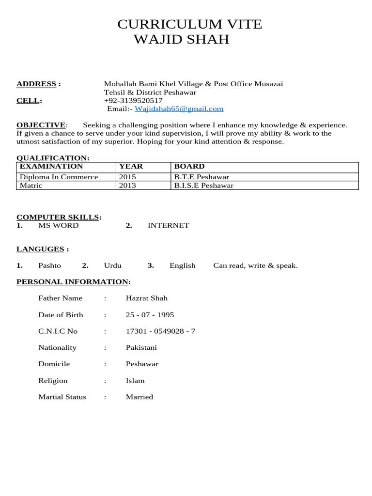 Wajid Shah CV | PDF