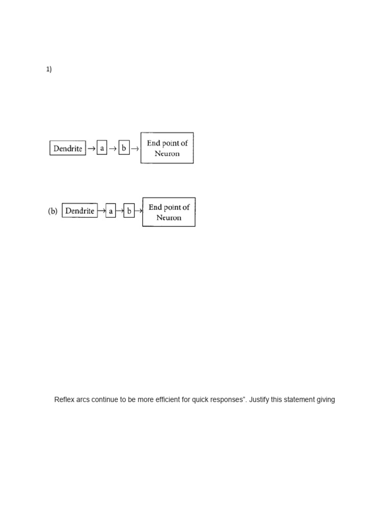 control assignment -1 | PDF | Hormone | Plant Hormone