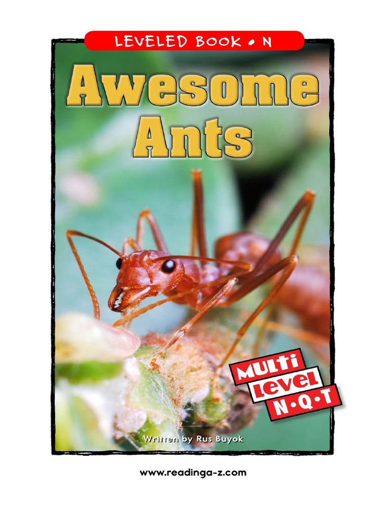 Awesome Ants | PDF