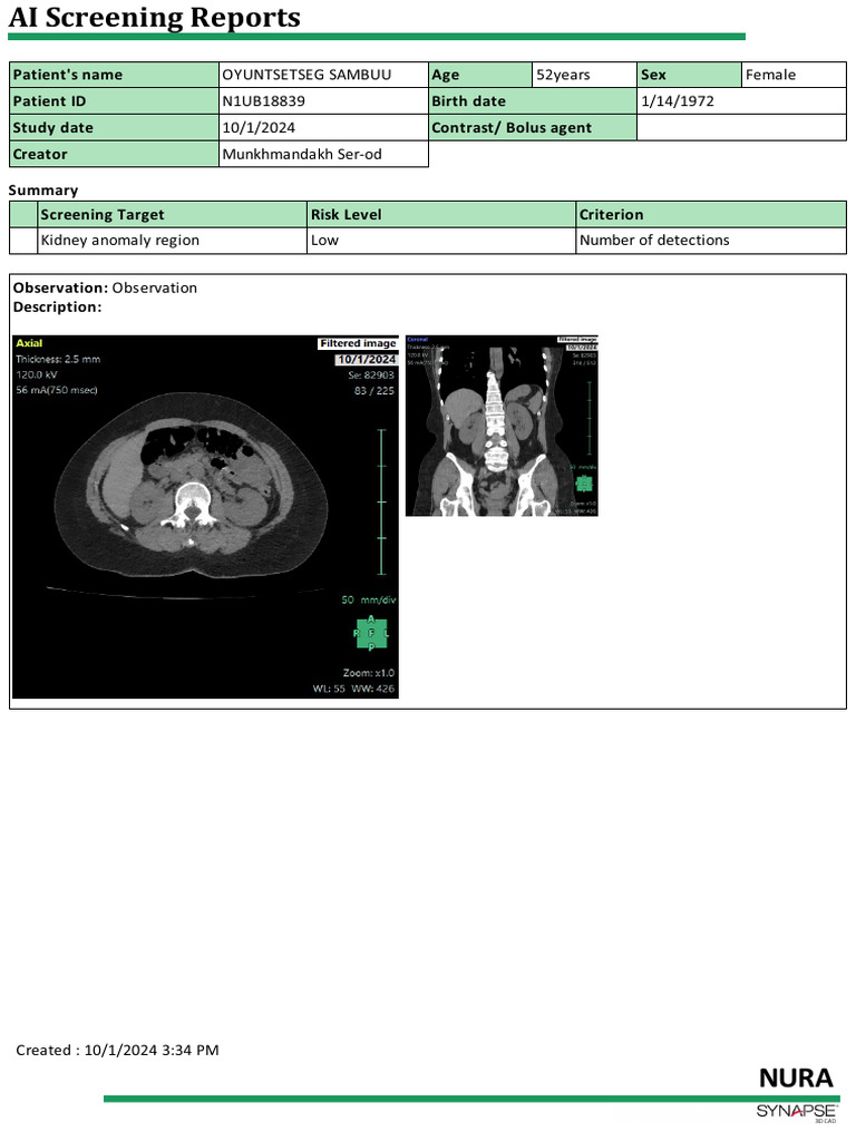 AI Kidney Screening Report for Patient | PDF