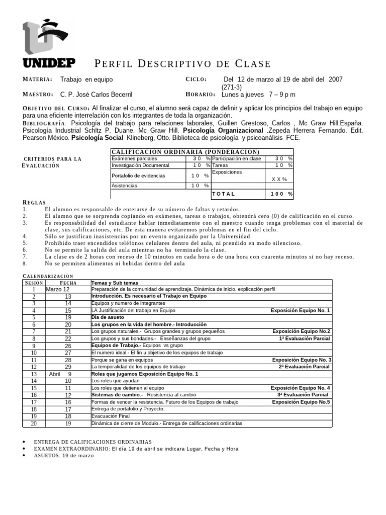 Ejemplo Perfil Descriptivo | PDF | Evaluación