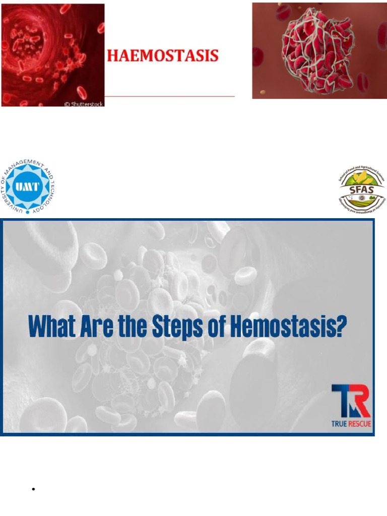 HND 202 Week 5 (Hemostasis-2 | PDF