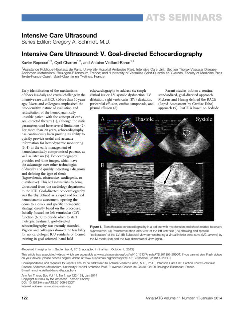 Echo 2014 ATS ICU USG Goal-Directed Echocardiography | PDF | Heart ...