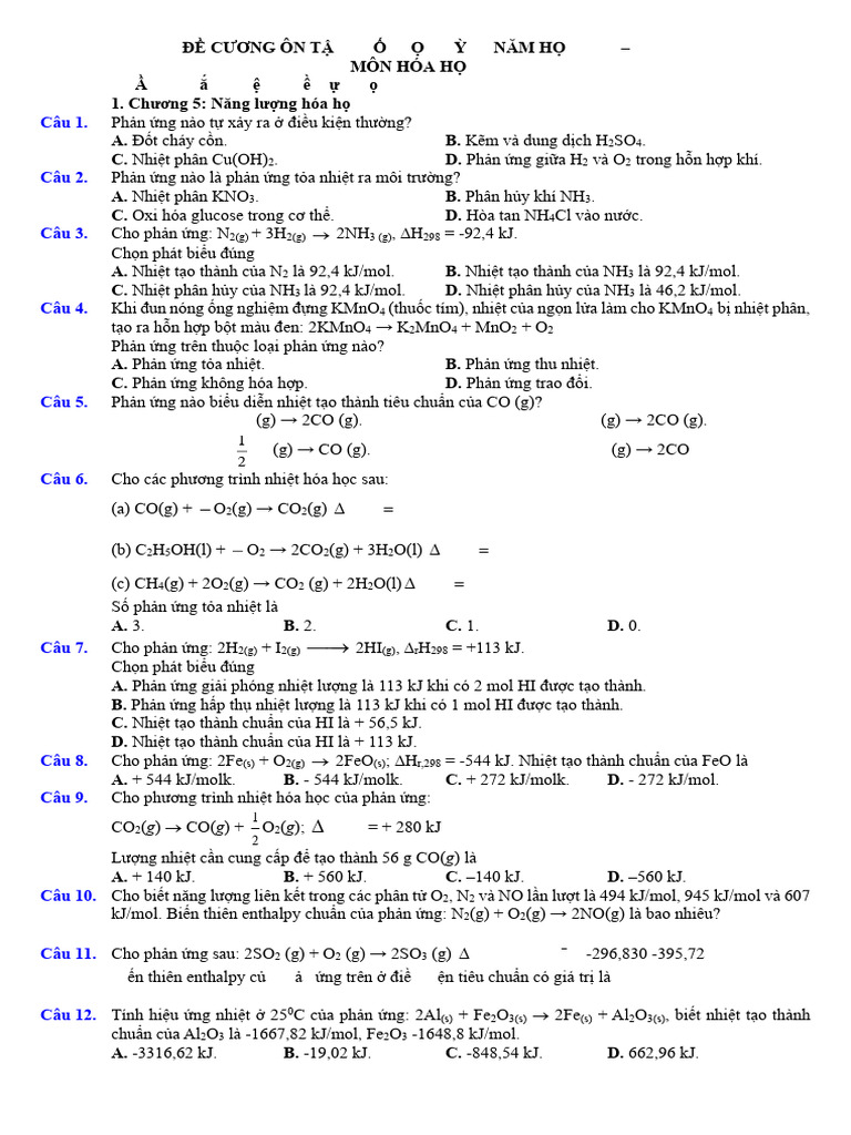 DE CUONG ON TAP THI CUOI HK2 DE - IN F3fe4 | PDF