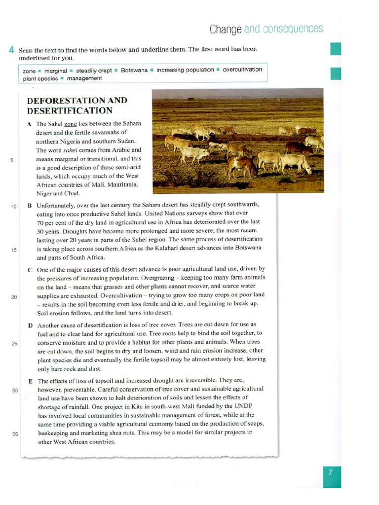 HW Reading UNIT 6 | PDF