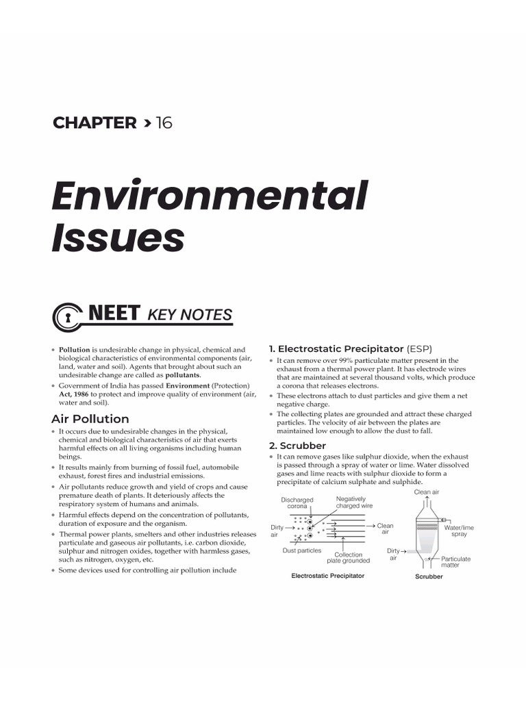 Environmental Issues | PDF