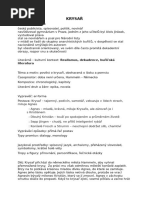 Viktor Dyk - Krysař | PDF