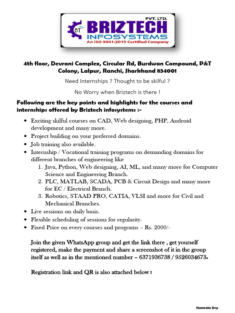 Briztech Internships | PDF