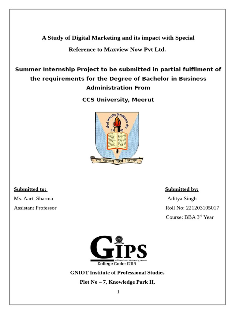 Aditya Main Final Sip MD | PDF | Digital Marketing | Marketing