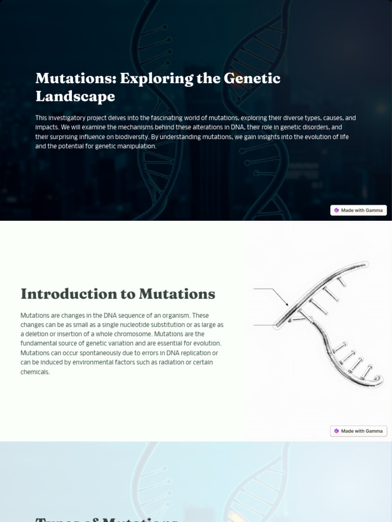 Mutations Exploring The Genetic Landscape | PDF | Mutation | Point Mutation