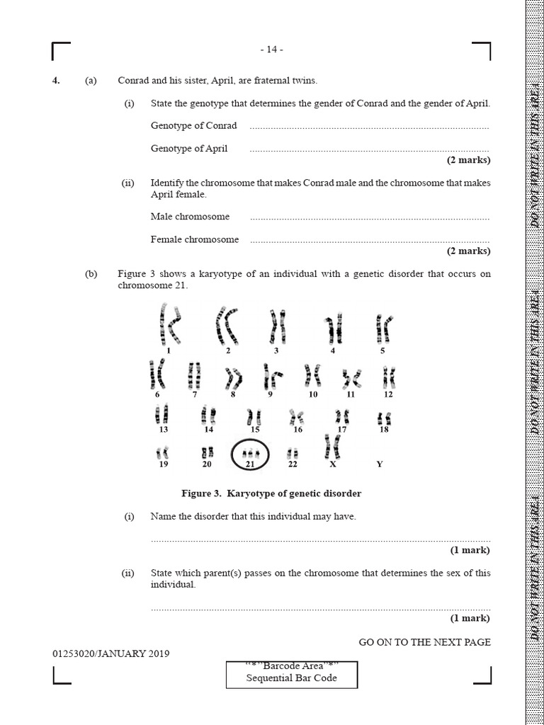 Genetics Past Paper Review PT 2 | PDF | Meiosis | Ploidy