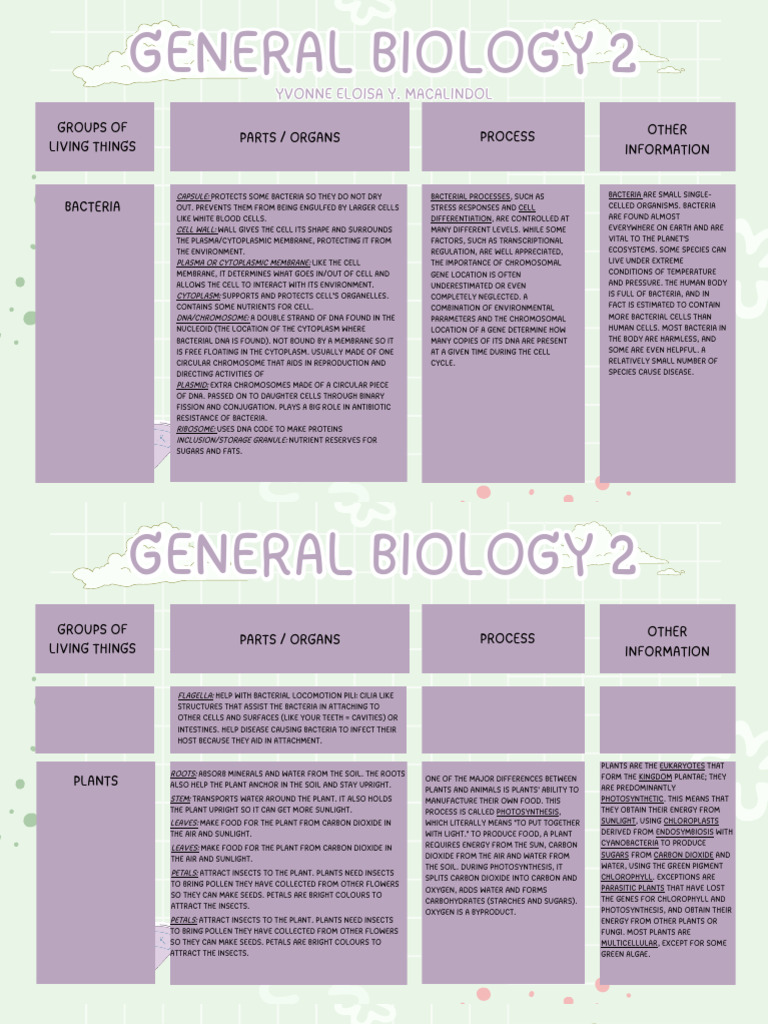 Groups of living things | PDF | Plants | Bacteria