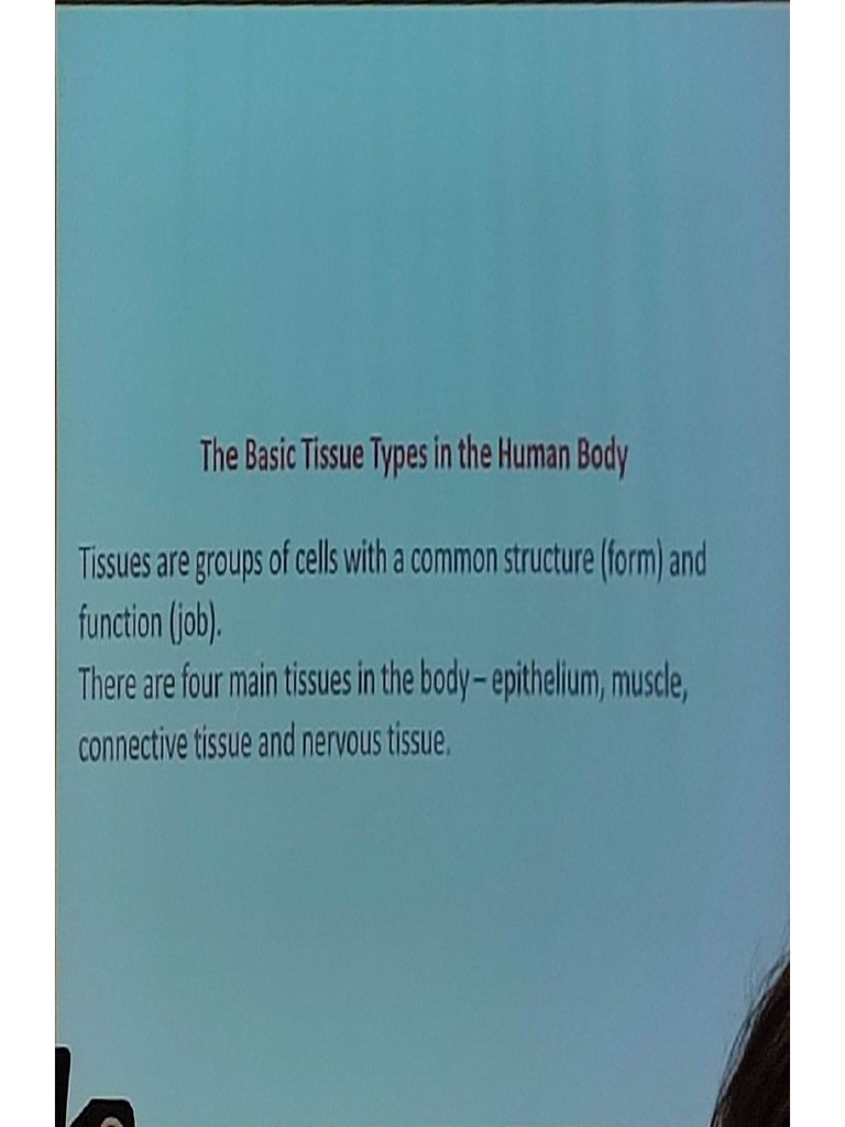 001 Basic Tissue Types in Human Bodies | PDF