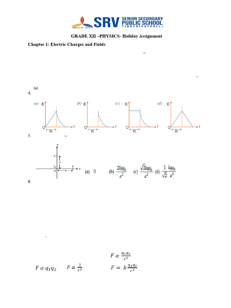 Physics Holiday Assignment | PDF | Capacitance | Capacitor