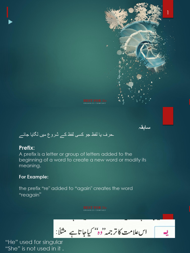 Quran presentataion 1377 | PDF | Grammatical Gender | Grammatical Number