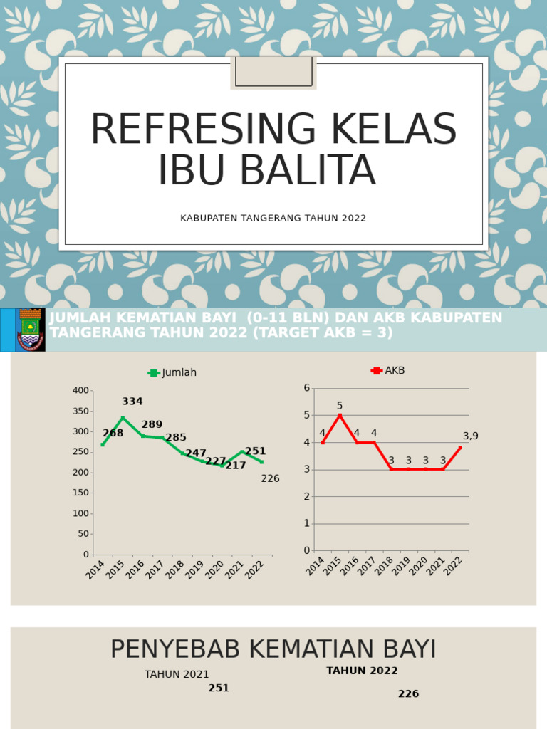 Kematian Bayi dan Kelas Ibu Balita 2022 | PDF