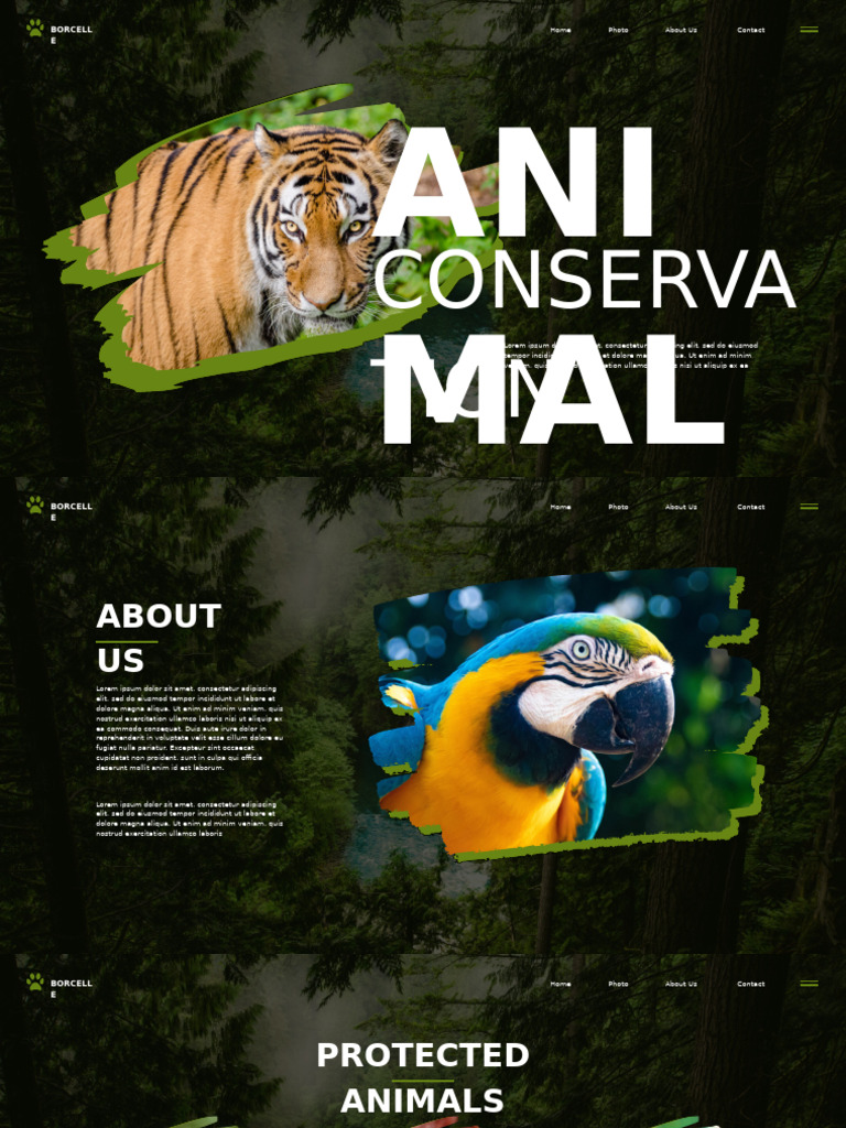 Green Black Modern Animal Conservation Presentation | PDF