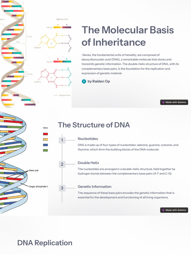 The Molecular Basis of Inheritance | PDF | Dna | Nucleic Acid Sequence