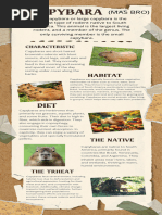 Capybara Life Cycle Overview | PDF | Biology | Zoology