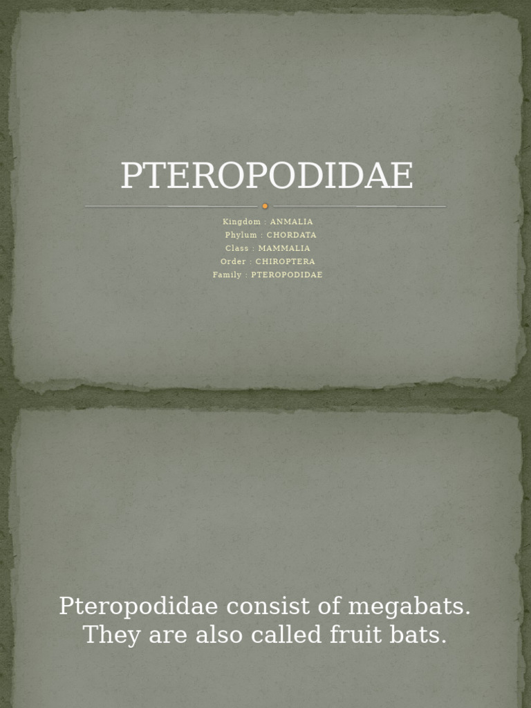 Pteropodidae | PDF