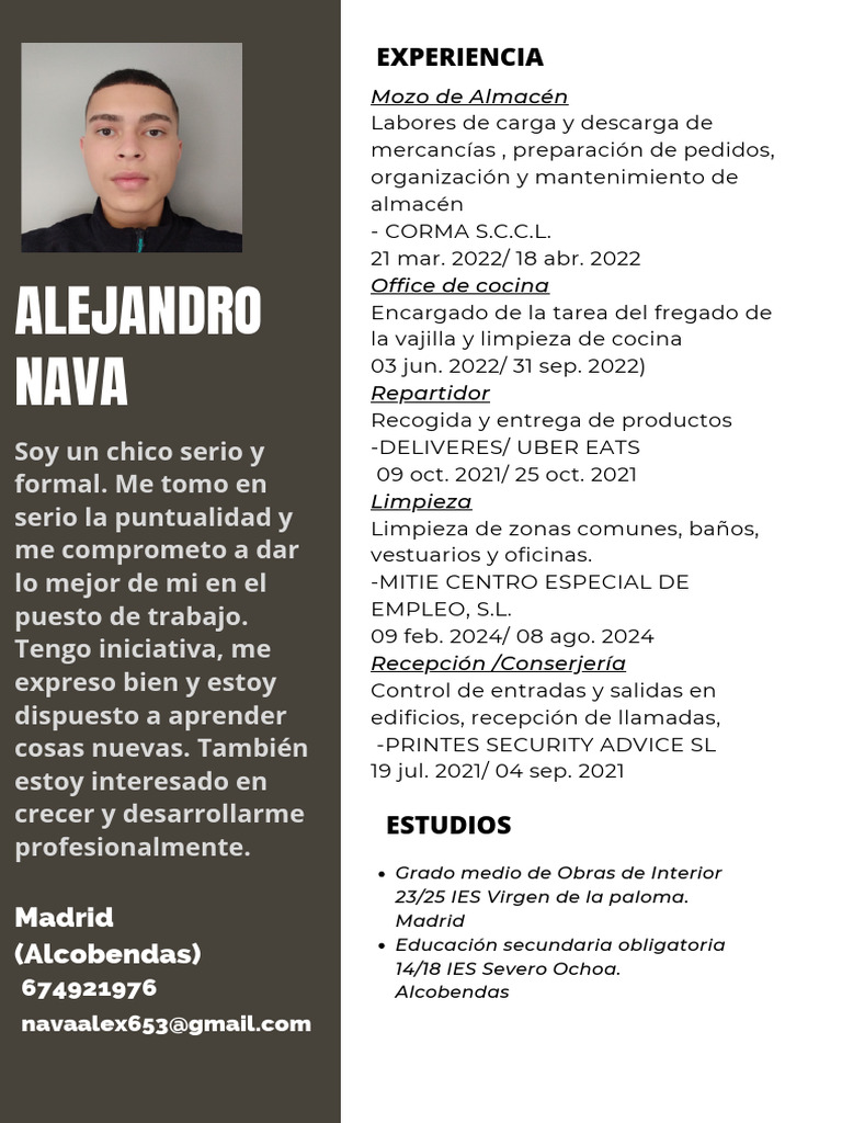 Curriculum. Alejandro Nava | PDF