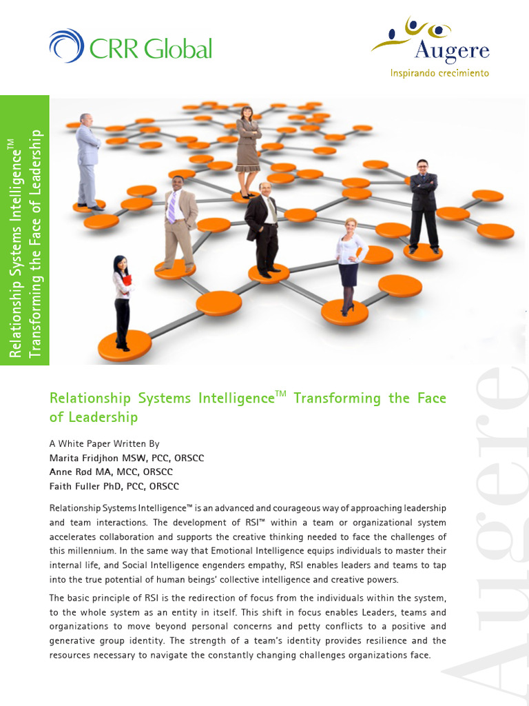 RSI Relationship - Systems - Intelligence - 23 - 01 - 15 | PDF | Leadership | System