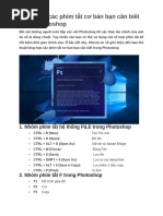 B0- Các Phím Tắt Trong Pts | PDF