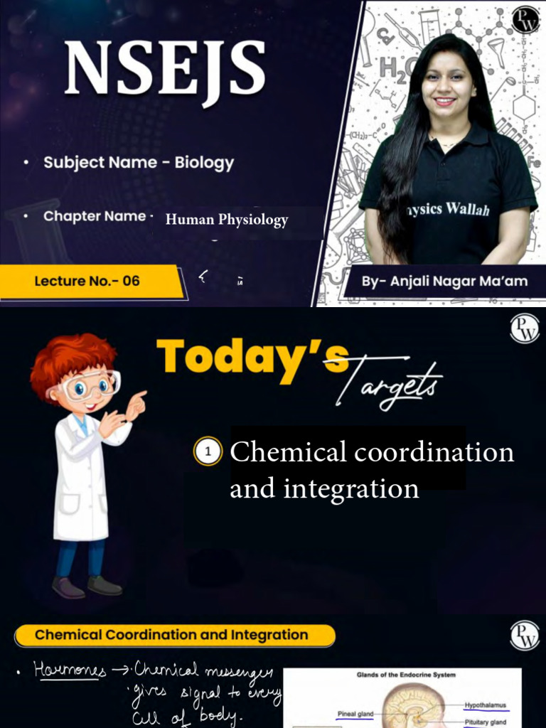 Human Physiology 06 - Class Notes - NSEJS 2023 | PDF