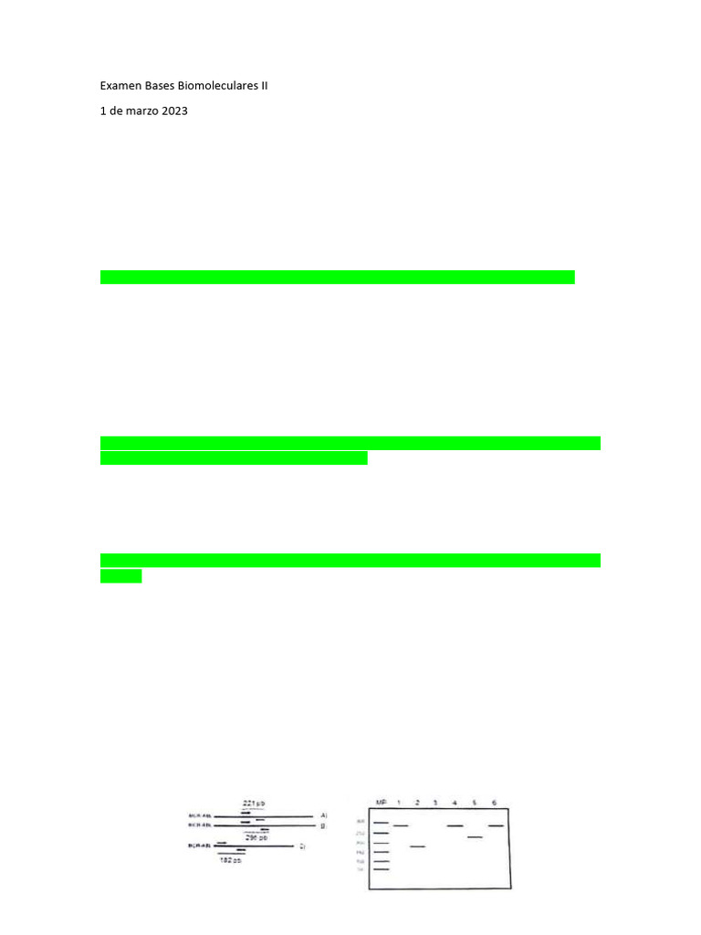 Examen BBMII - 2 | PDF | Enzima | Cariotipo