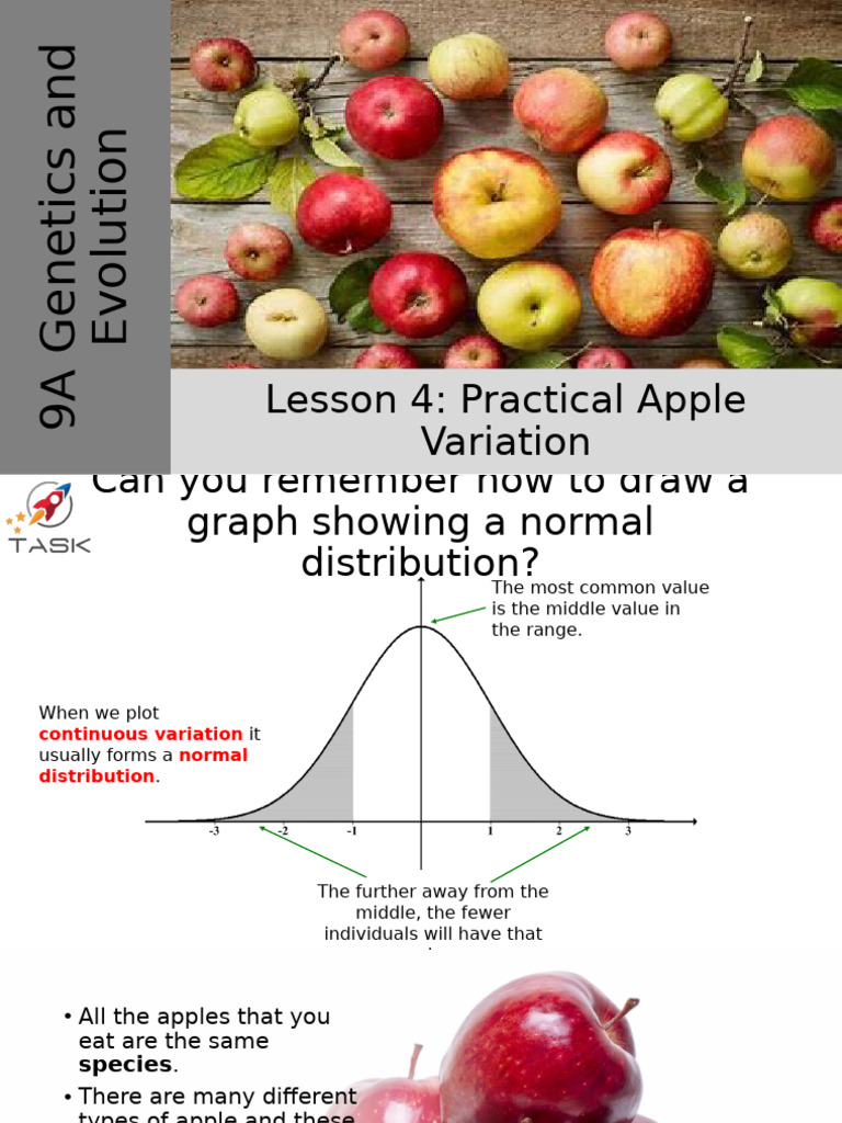 Lesson 3 Collecting Data | PDF | Quantitative Research | Science