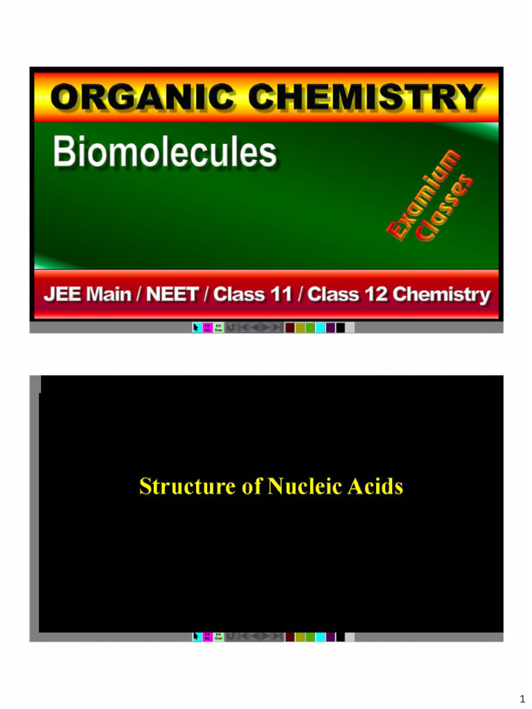 C12 14 Biomolecules 05 | PDF