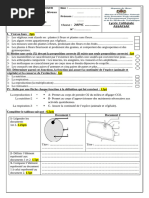 Structure Et Composition Chimique D'un Grain de Blé | PDF | Céréale | Blé