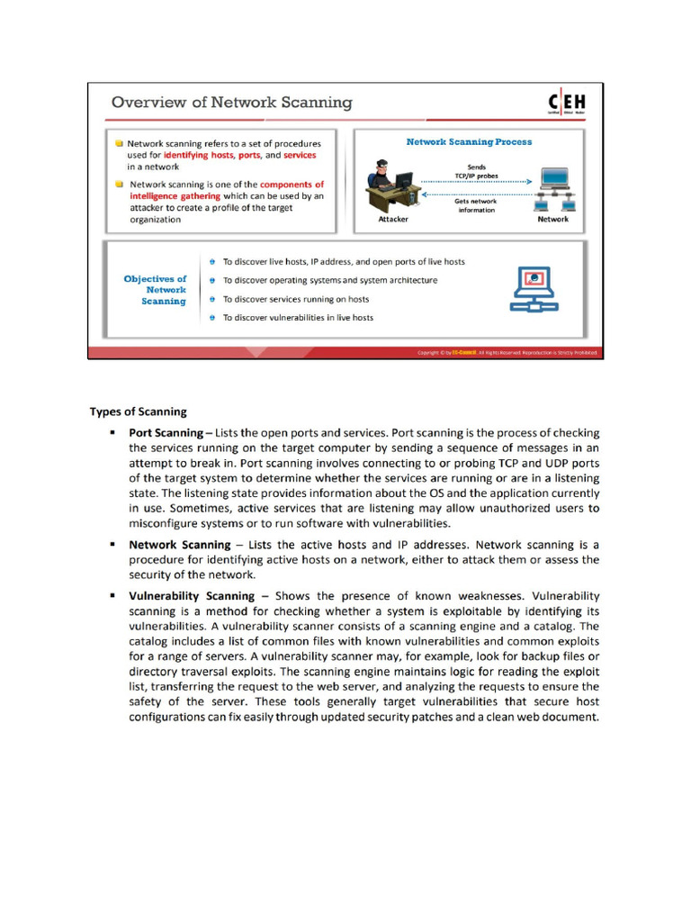 3-Scanning Networks | PDF