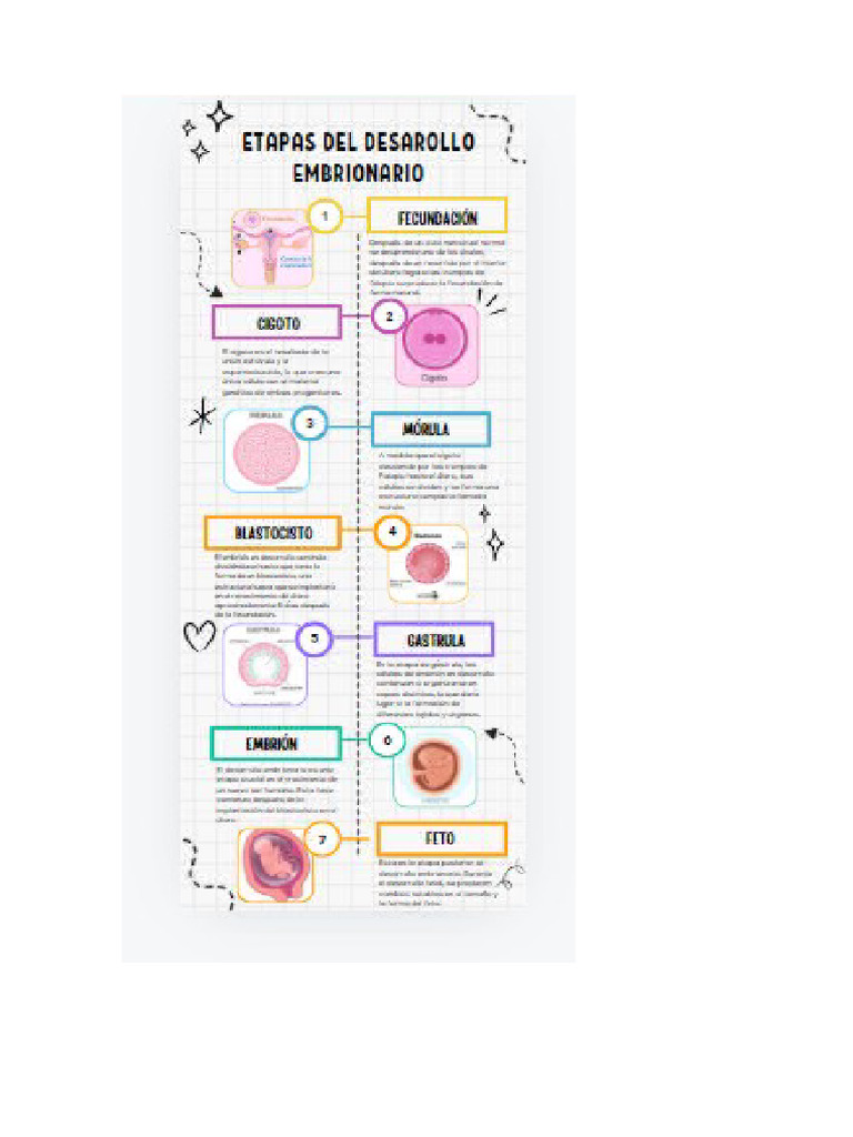 Baca Mayra EDE | PDF