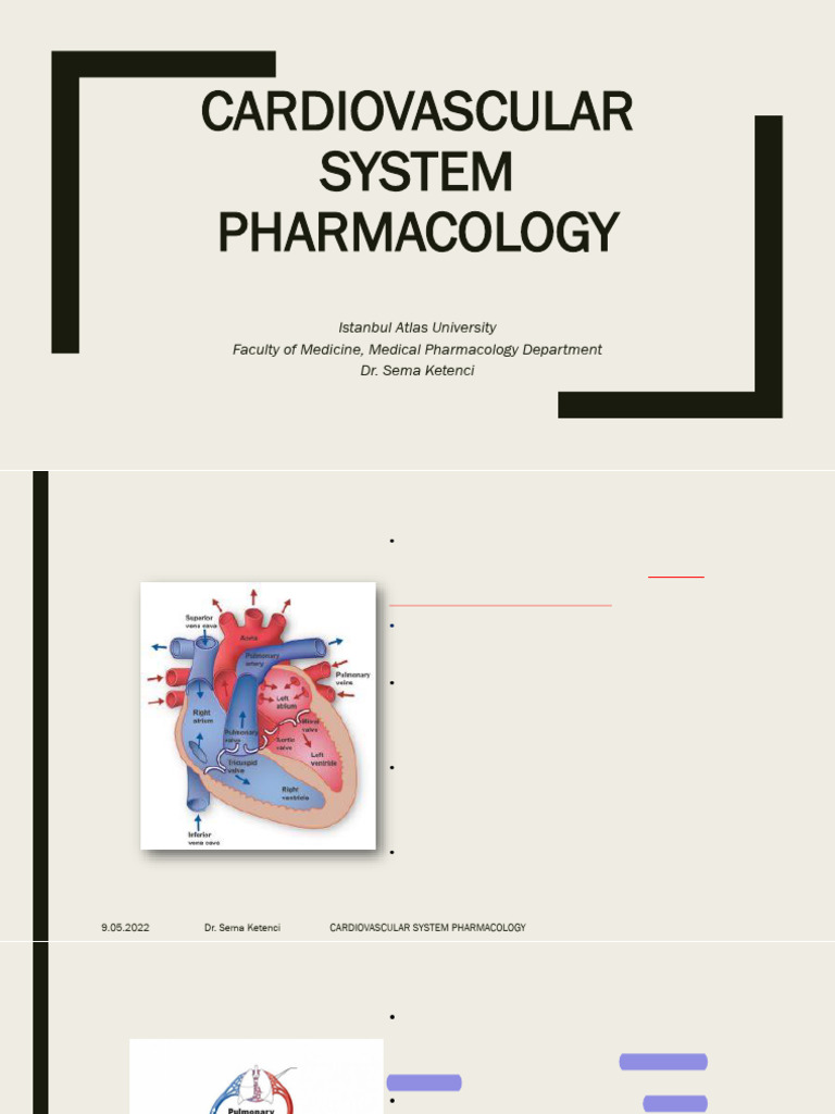 CARDIOVASCULAR SYSTEM | PDF | Heart | Diastole
