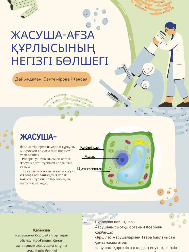 Exploring Cells in Detail Education Presentation in Hand Drawn Lightly ...