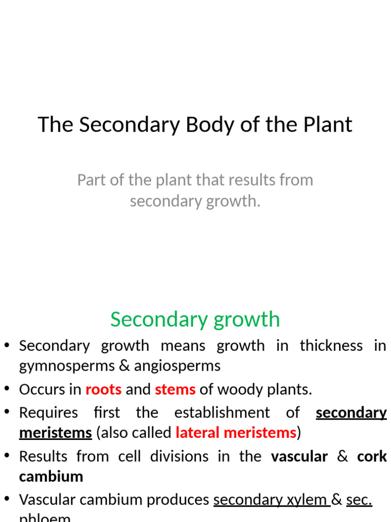 L5 - Plant Anatomy (Part 3 - Secondary Body of The Plant) | PDF | Plant ...