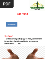 Palmar Hand Anatomy Overview | PDF | Hand | Musculoskeletal System