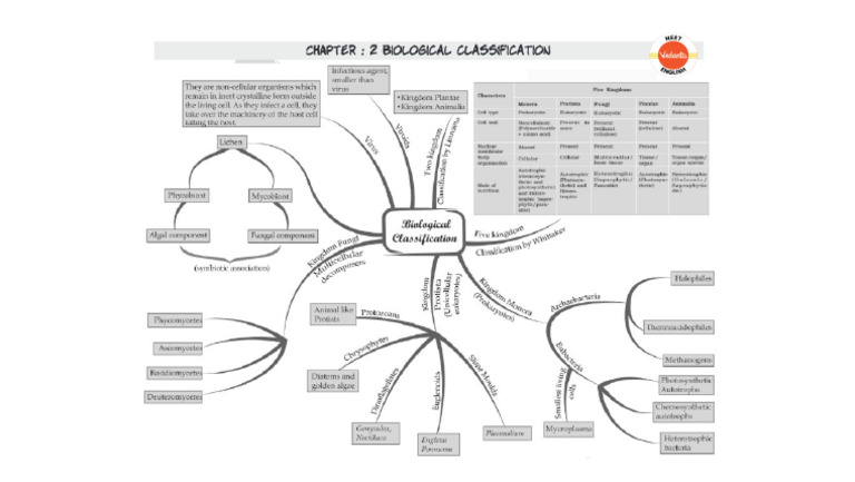 Biological Classification Mind Map | PDF