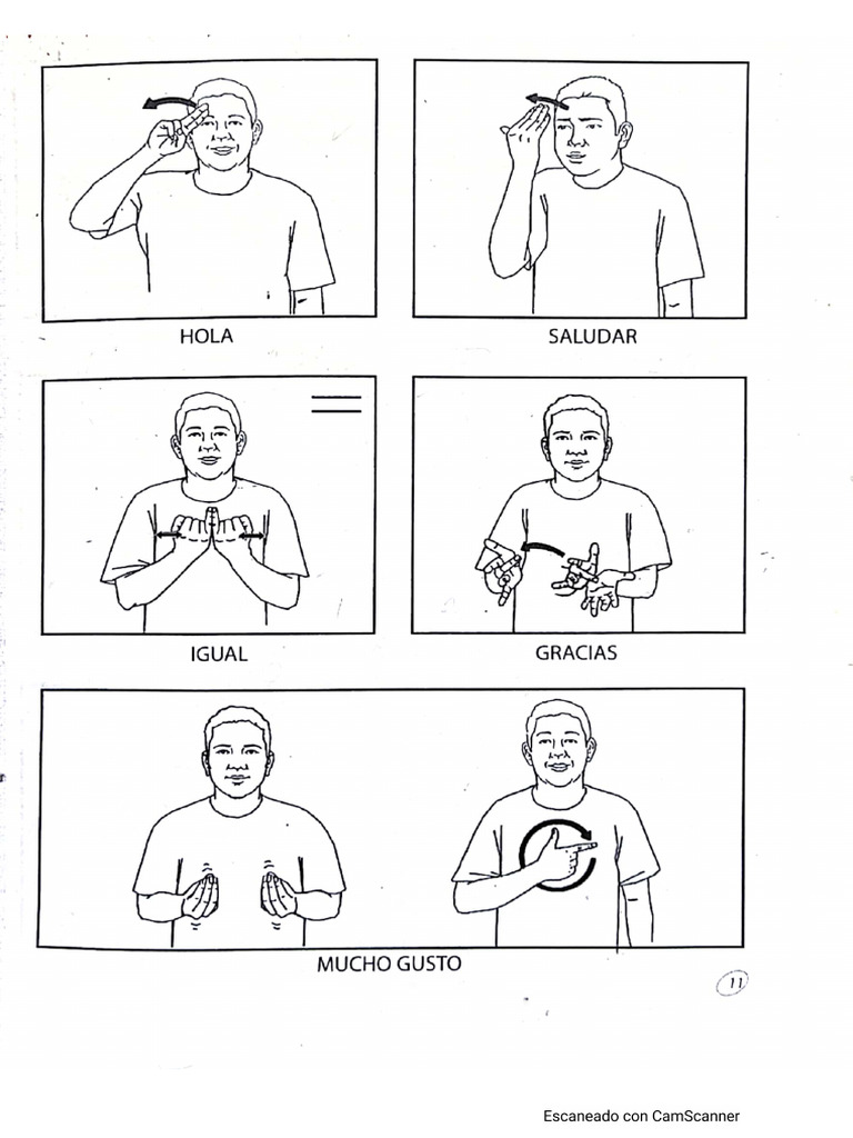 Expresiones de Cortesía | PDF