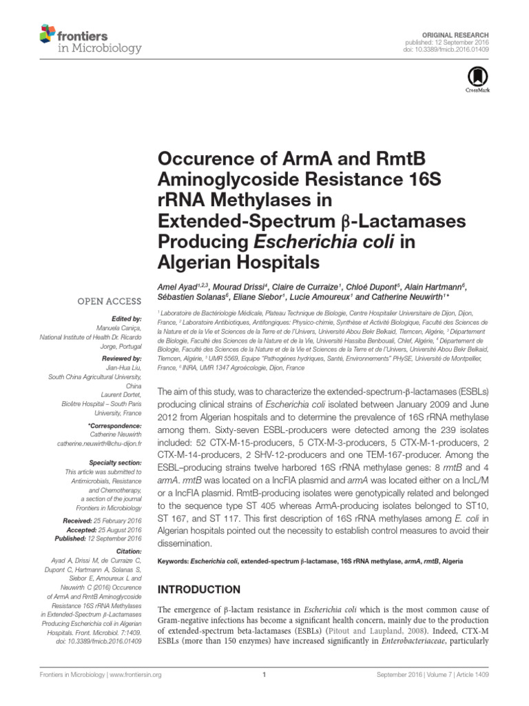2016 Ayad | PDF | Beta Lactamase | Microbiology