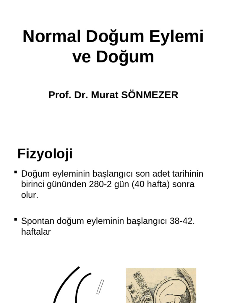 Normal Doğum Murat SÖNMEZER | PDF
