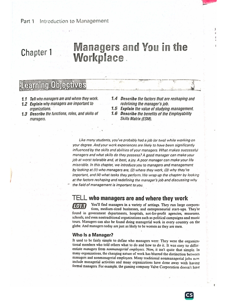 Management Chapter 1 | PDF