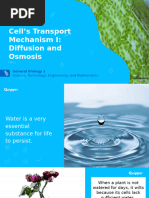 Amoeba Sisters Osmosis Recap Guide | PDF | Osmosis | Cell Biology