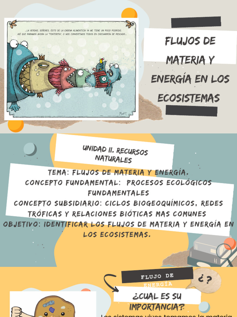 Flujos de Materia y Energía en Los Ecosistemas | PDF | Red alimentaria | Ecología