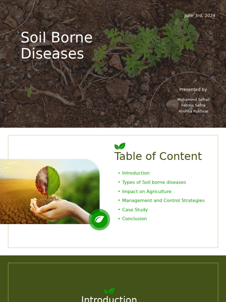 Soil Borne Diseases | PDF | Plants | Botany
