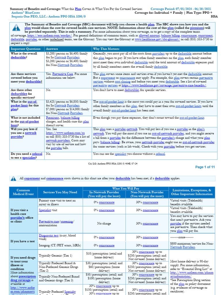 2024 - Sequoia One PEO - Anthem PPO HSA 3200 - SBC-2 | PDF ...