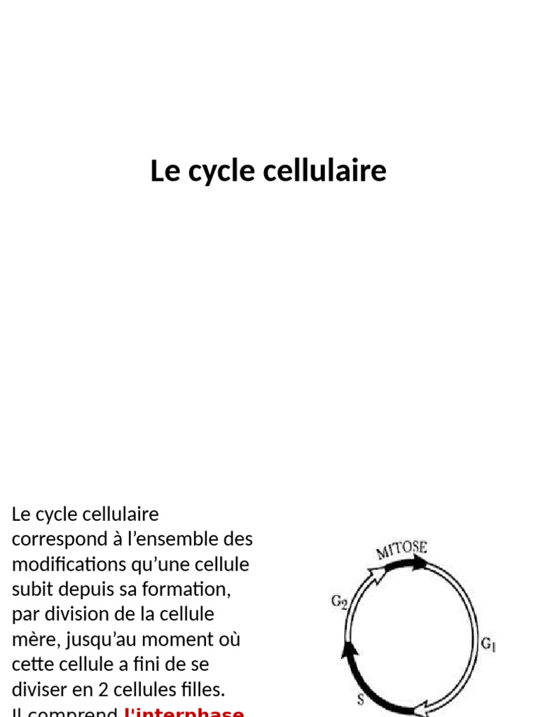Cycle cellulaire : phases et mécanismes | PDF | Cellule (Biologie ...