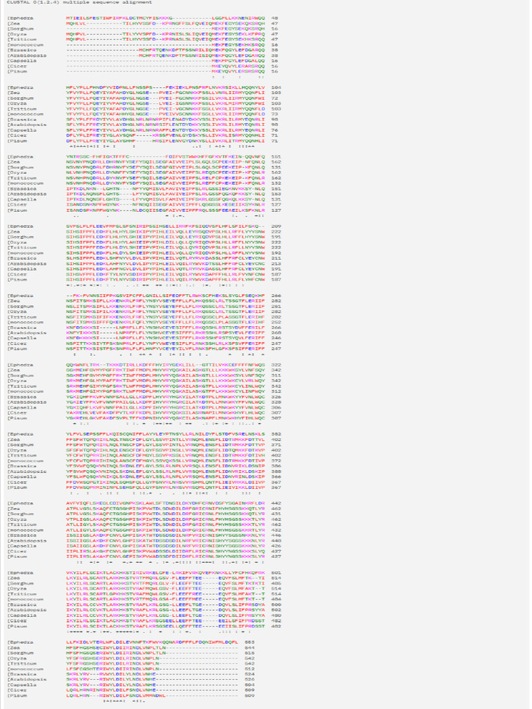 Clustal Omega EMBL EBI | PDF
